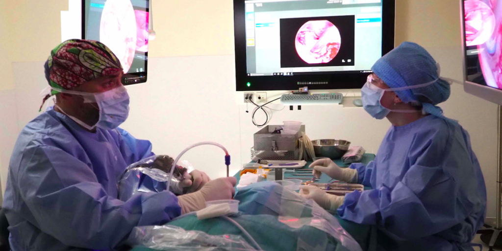 Qu’est-ce que l’endoscopie ? – www.clinique-lyon-nord.fr